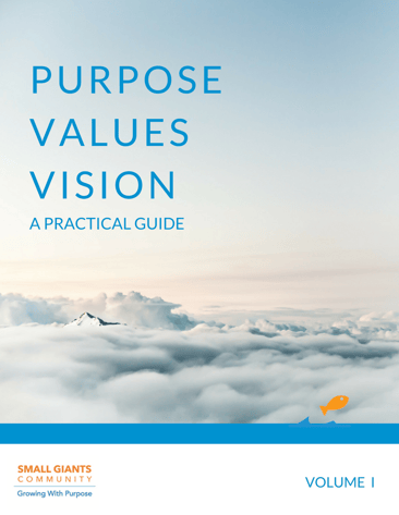 [Complimentary eBook] Purpose, Values, Vision - A practical guide.