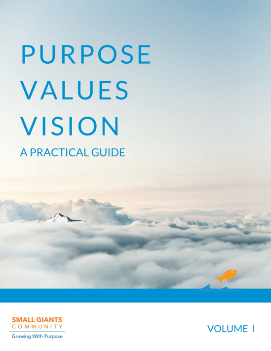 [Complimentary eBook] Purpose, Values, Vision - A practical guide.
